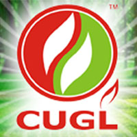 Indraprastha Gas buying 50% in Central UP Gas; investors exiting at ...