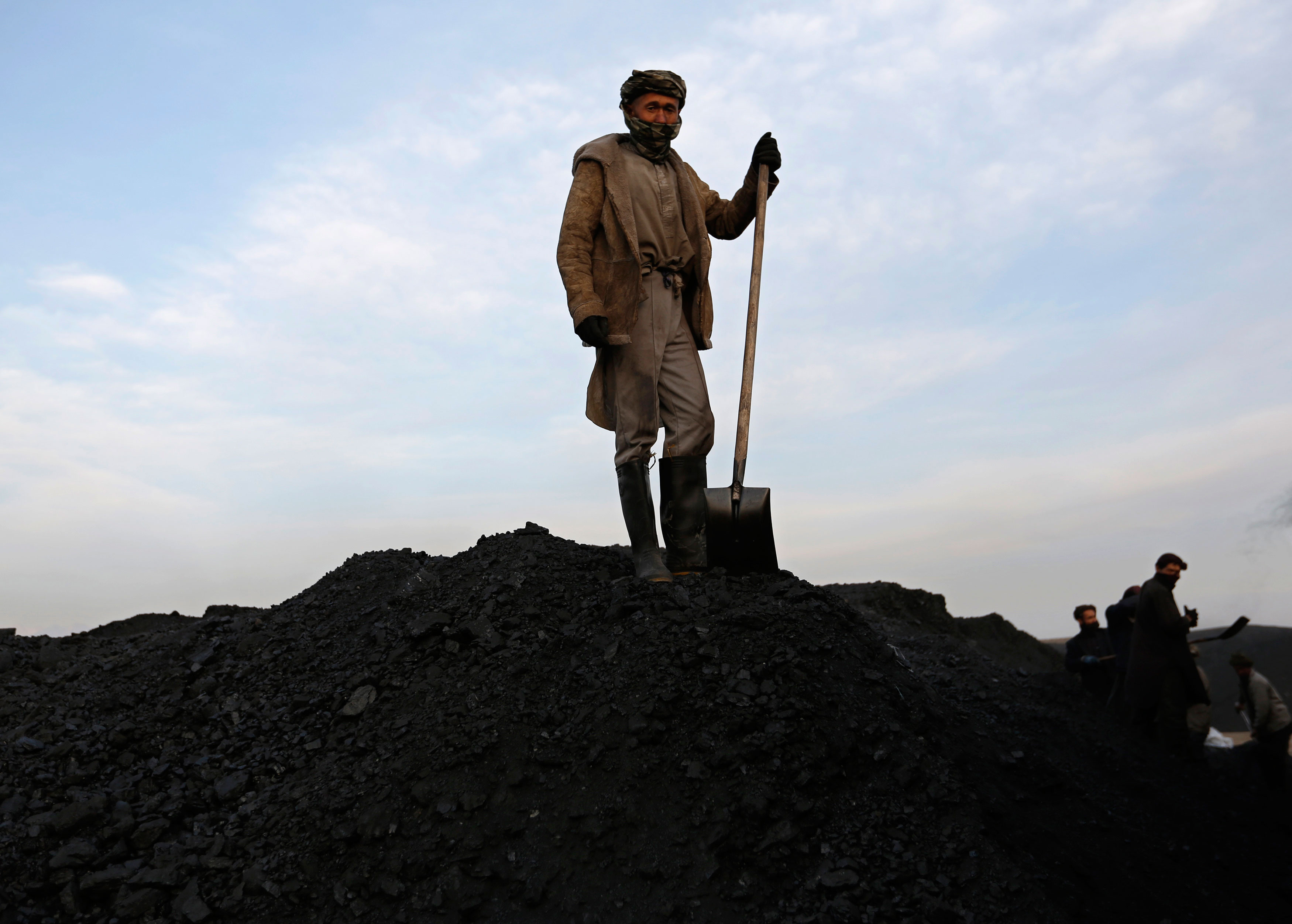 Coal India beats own record with largest public issue; govt to get $3 ...