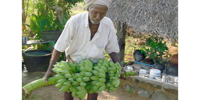 Aspada invests around $3.2M in fresh fruit supply chain firm InI Farms