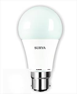 Surya Roshni’s lighting biz gets bids from Warburg Pincus, Bain Capital