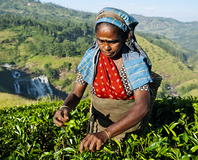 Tea chain Tpot Cafe gets pre-Series A investment
